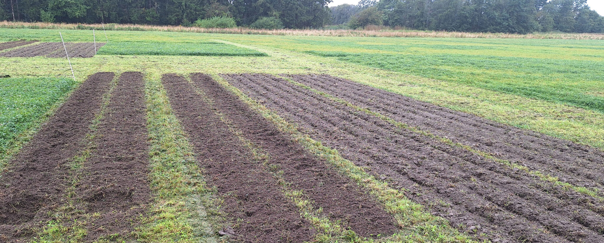 Living Labs | Robotic Intercropping